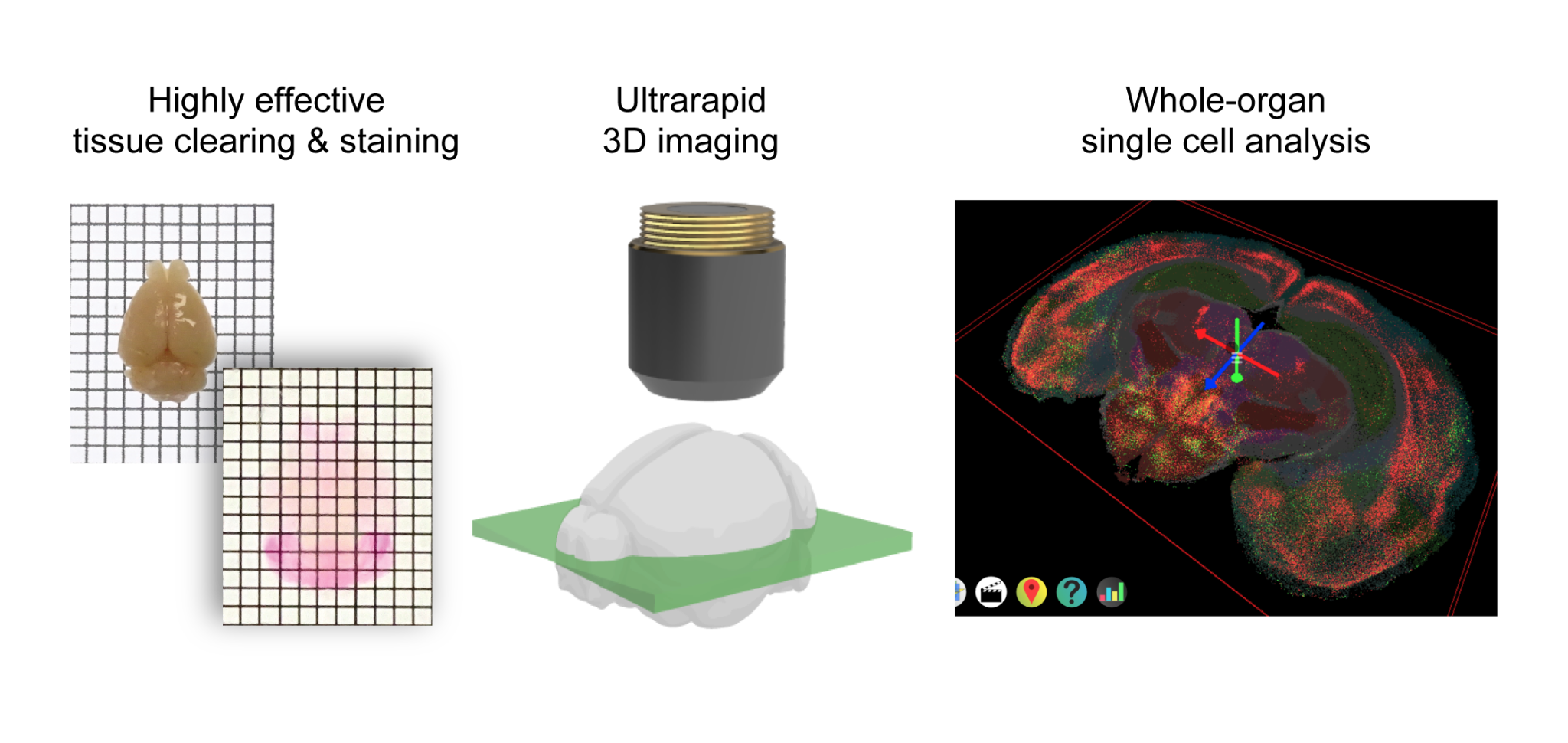 CUBICStars｜The World Best Digital Bio-Tech